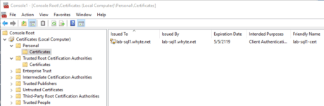 How to Apply Force Encryption in SQL Server - SQL DBA Blog