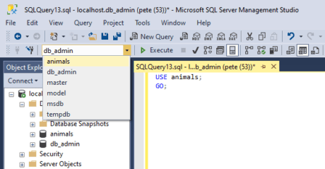 USE Command in SQL Server - Peter Whyte DBA Blog